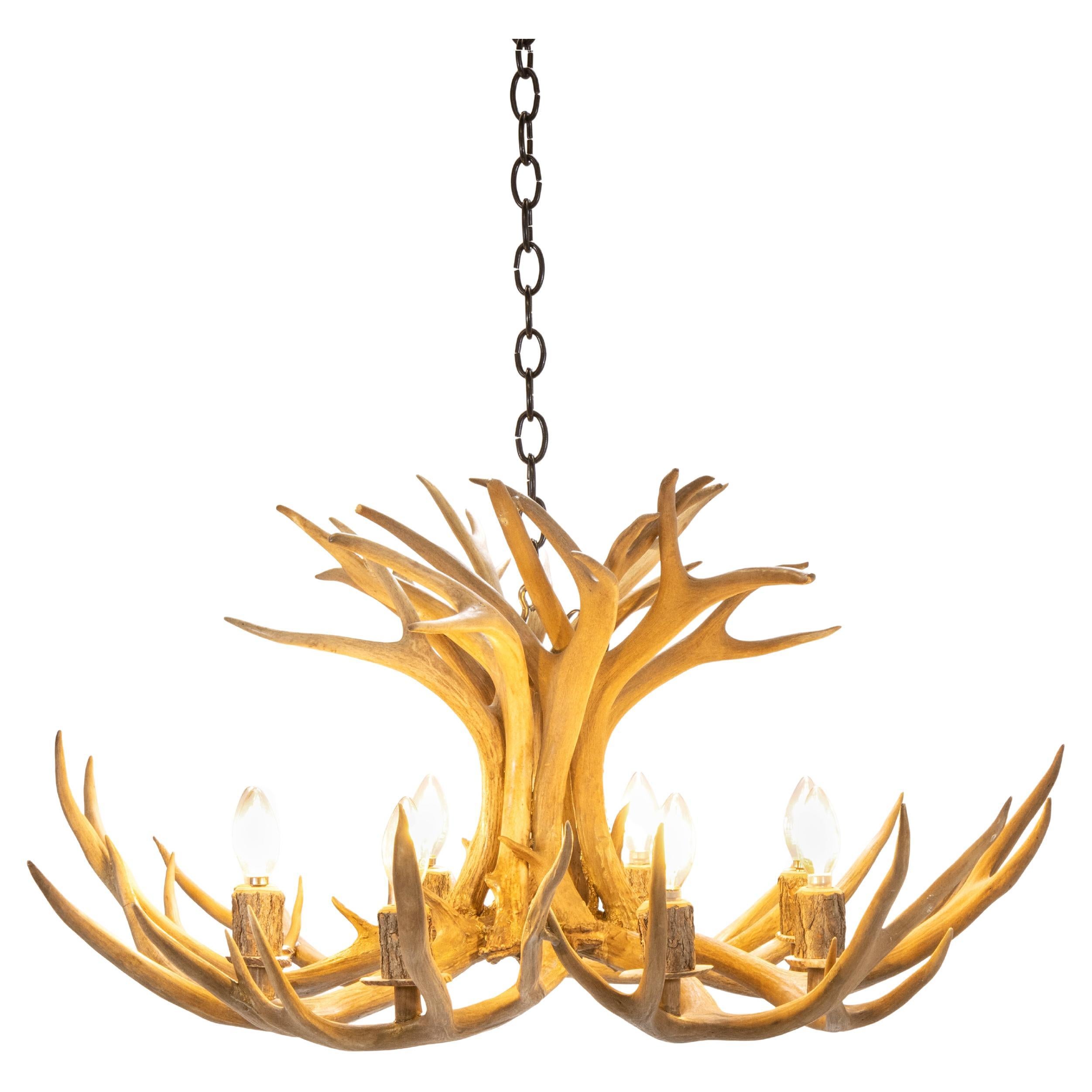 Fallow Deer Natural Antler Chandelier For Sale at 1stDibs