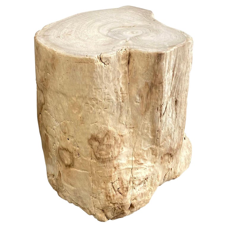 Natural Birch Wood Stump Vintage Side Table at 1stDibs