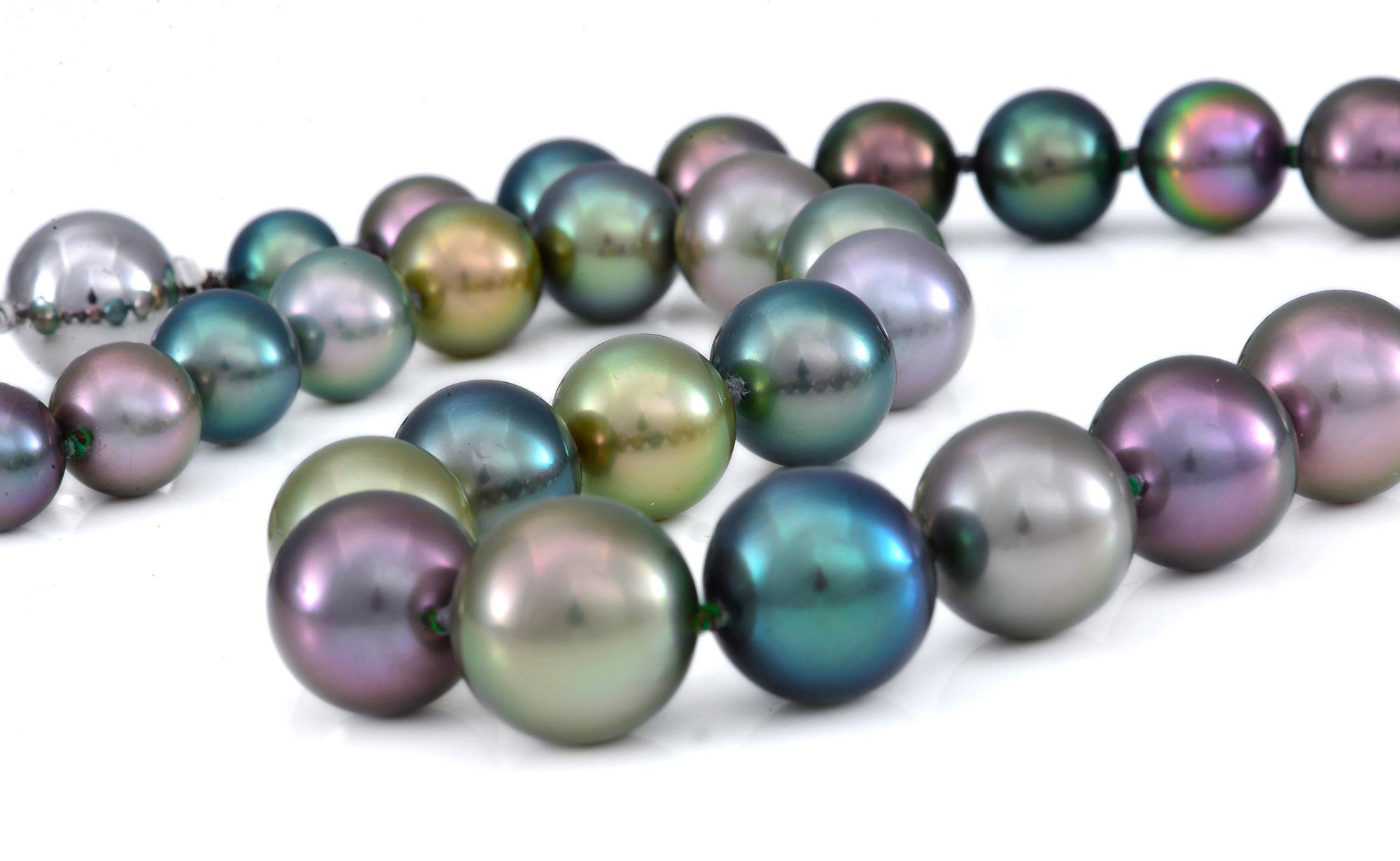 Natural Colored Tahitian Pearls, Rainbow of The Pacific For Sale at ...