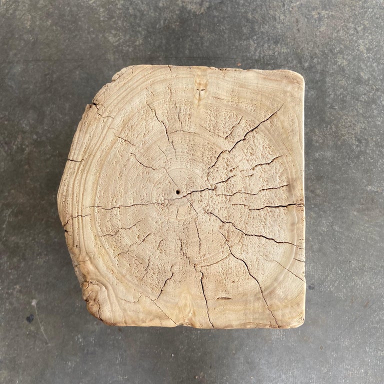 Natural Cypress Wood Stump for Side Table at 1stDibs