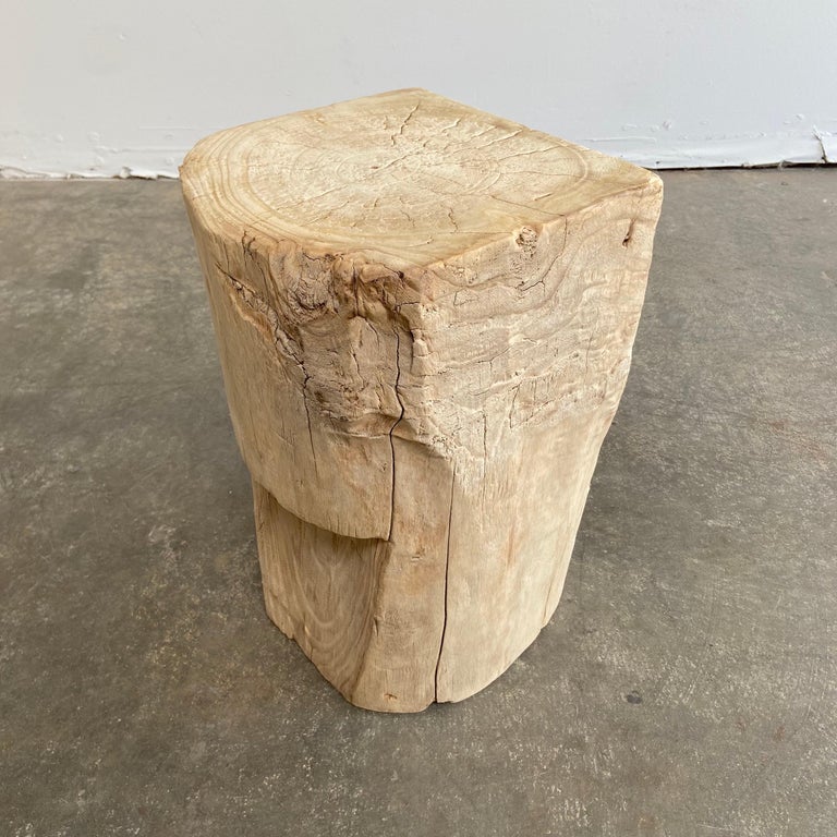 Natural Cypress Wood Stump for Side Table at 1stDibs