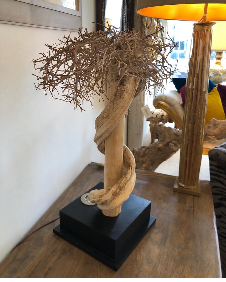 Natural Driftwood Bonsai Tree Lamp on Base For Sale at 1stDibs