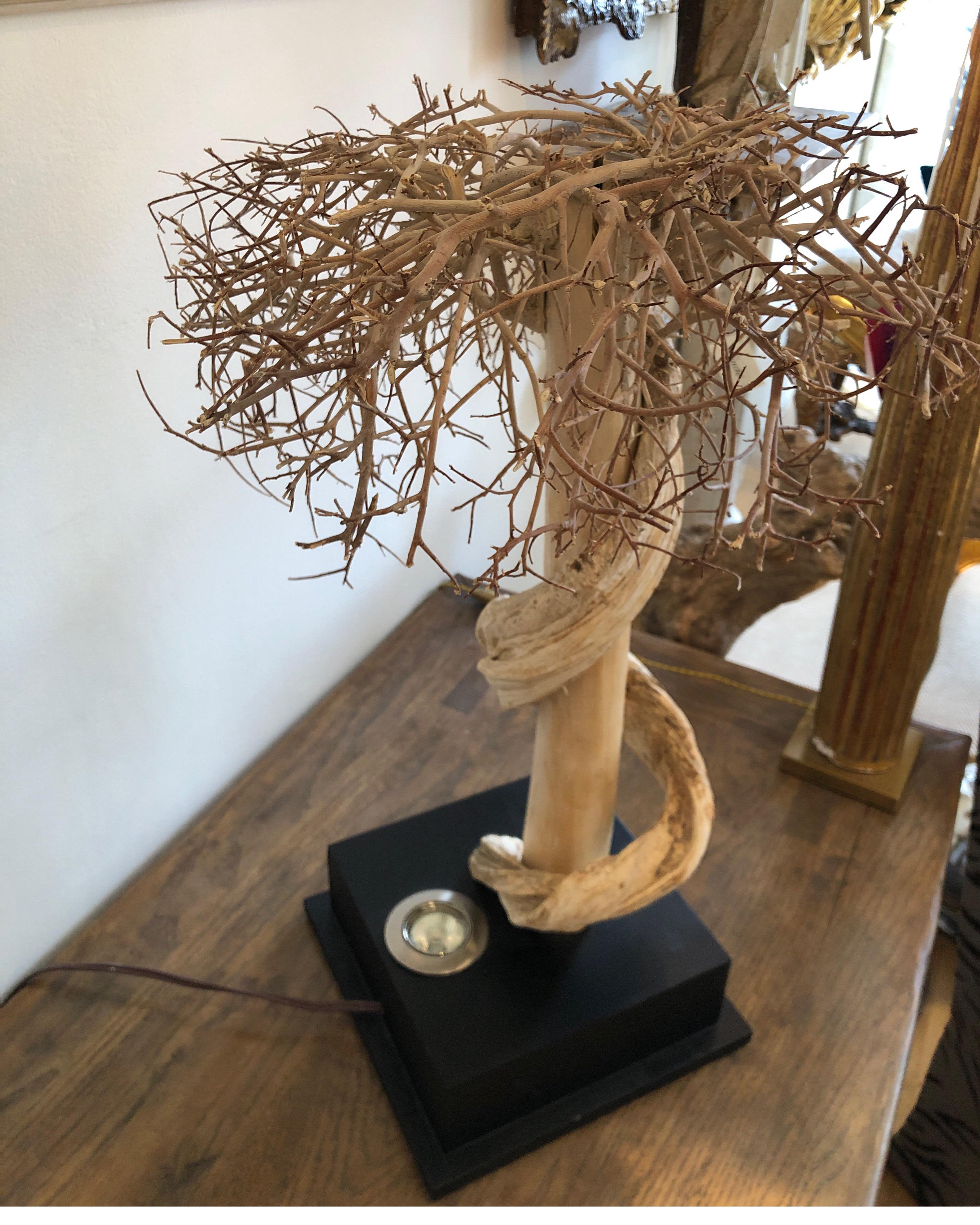 Natural Driftwood Bonsai Tree Lamp on Base For Sale at 1stDibs | bonsai ...