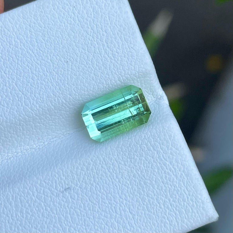 Natural Light Green Loose Tourmaline Gem 3.0 Carats Faceted Tourmaline ...