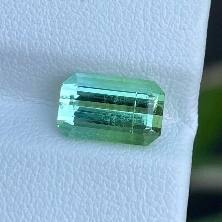 Natural Light Green Loose Tourmaline Gem 3.0 Carats Faceted Tourmaline ...