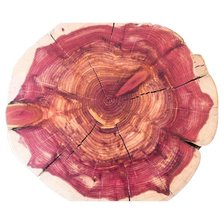 Natural Red Cedar Stump Table For Sale at 1stDibs | cedar stumps for sale