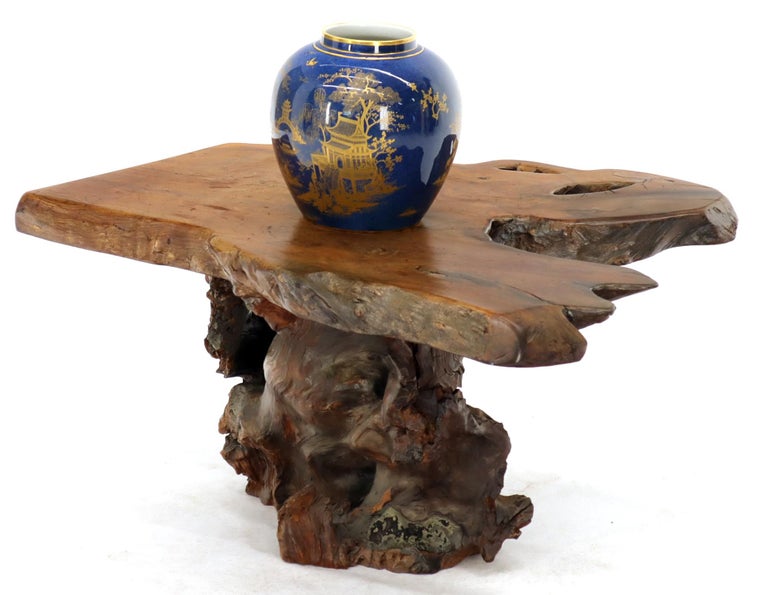 Natural Root Base Slab Top Side Coffee Table Amber Tone Varnish Finish ...