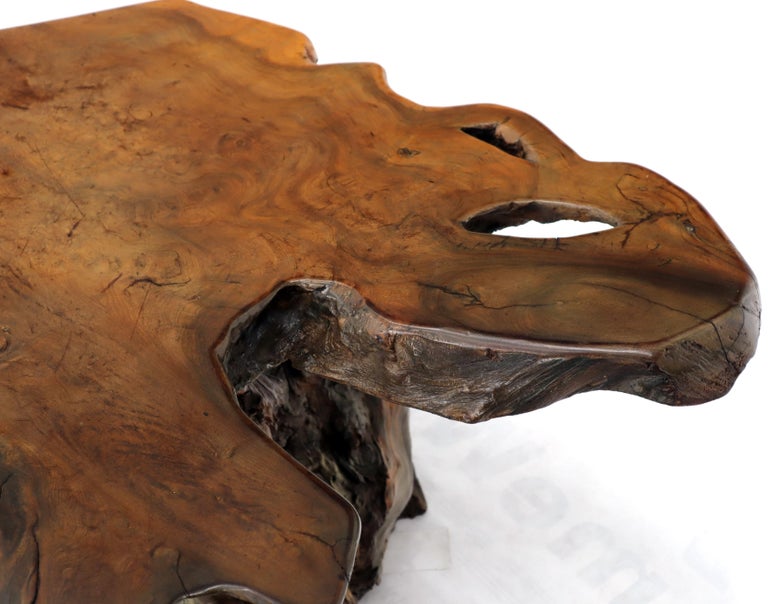 Natural Root Base Slab Top Side Coffee Table Amber Tone Varnish Finish ...