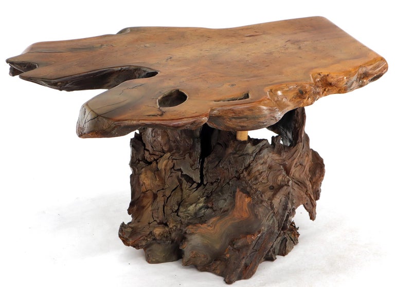 Natural Root Base Slab Top Side Coffee Table Amber Tone Varnish Finish ...