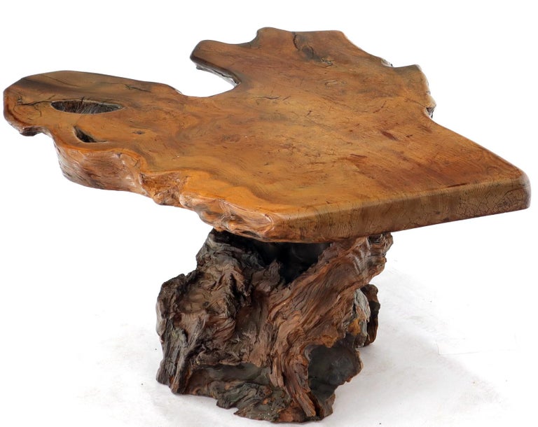 Natural Root Base Slab Top Side Coffee Table Amber Tone Varnish Finish ...