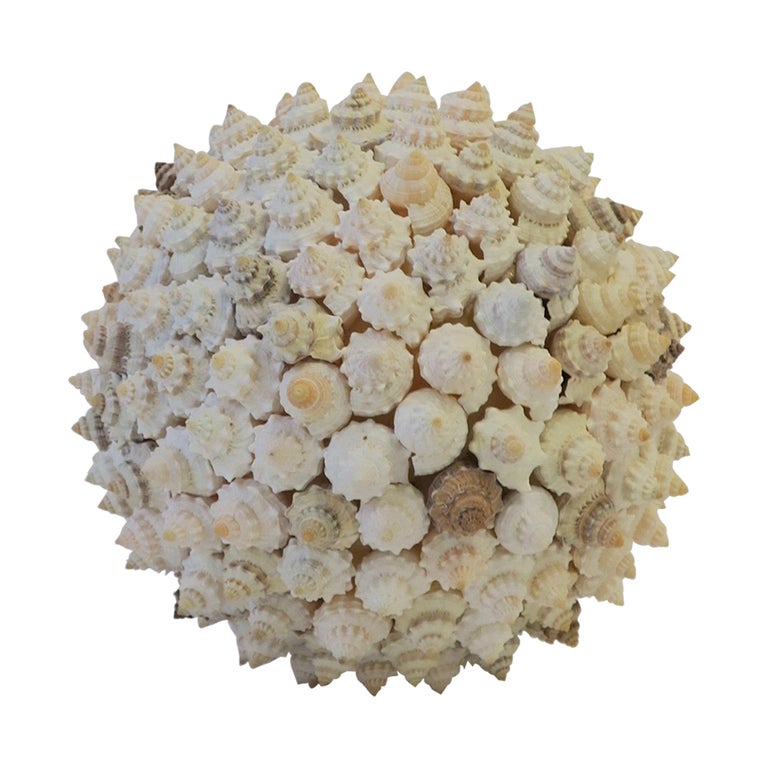 Seashell Sphere Ball Sculpture For Sale at 1stDibs | seashell ball