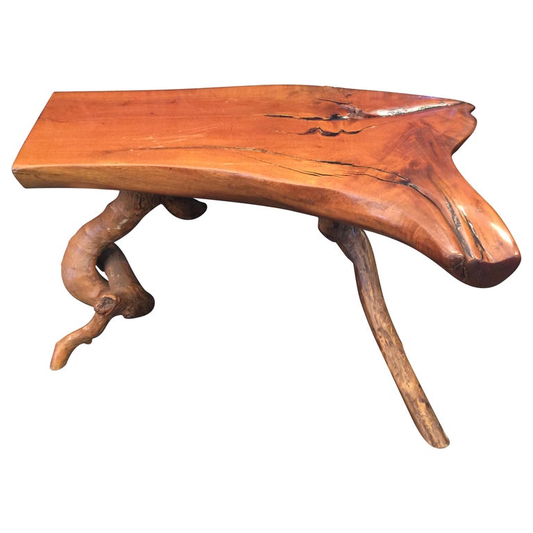 Natural Shape Specimen Root Coffee Table at 1stDibs