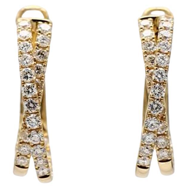 20 Carat Natural Pink Diamond Hoop Earrings For Sale at 1stDibs | pink ...