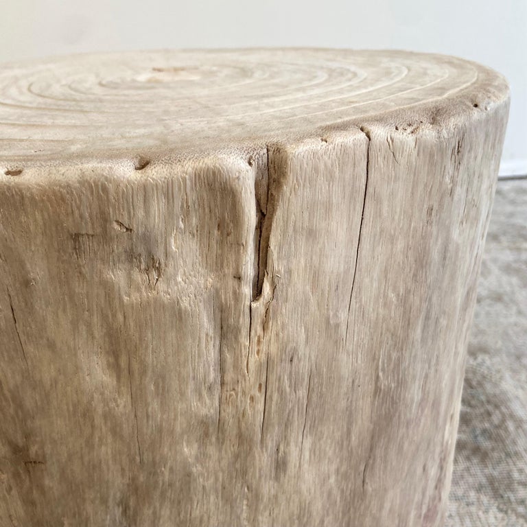 Natural Wood Stump Side Table or Stool For Sale at 1stDibs