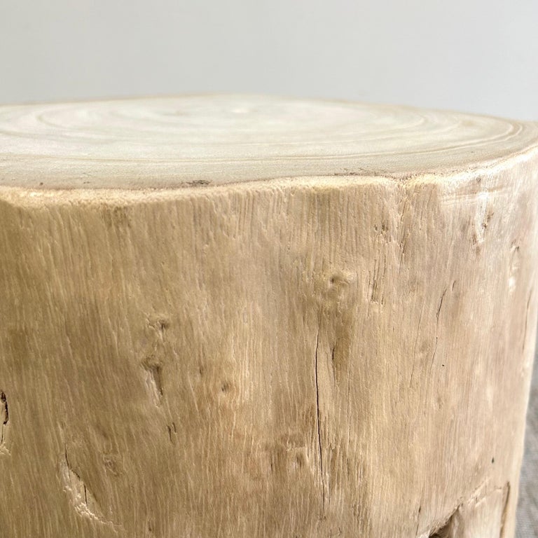 Natural Wood Stump Side Table or Stool For Sale at 1stDibs