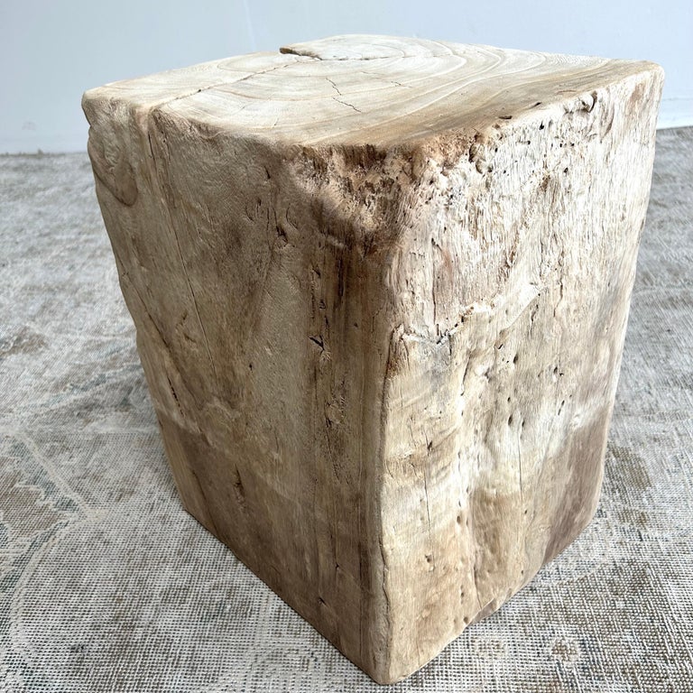 Natural Wood Stump Side Table or Stool For Sale at 1stDibs