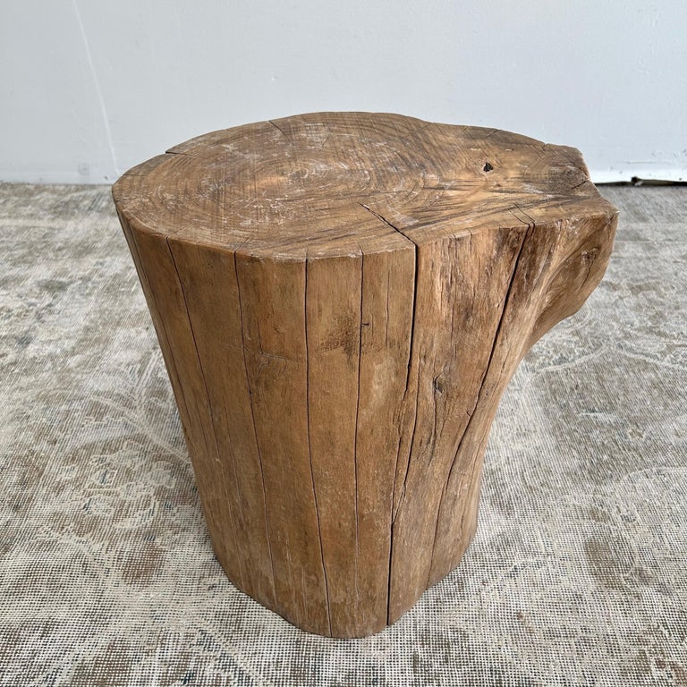 Natural Wood Stump Side Table or Stool For Sale at 1stDibs