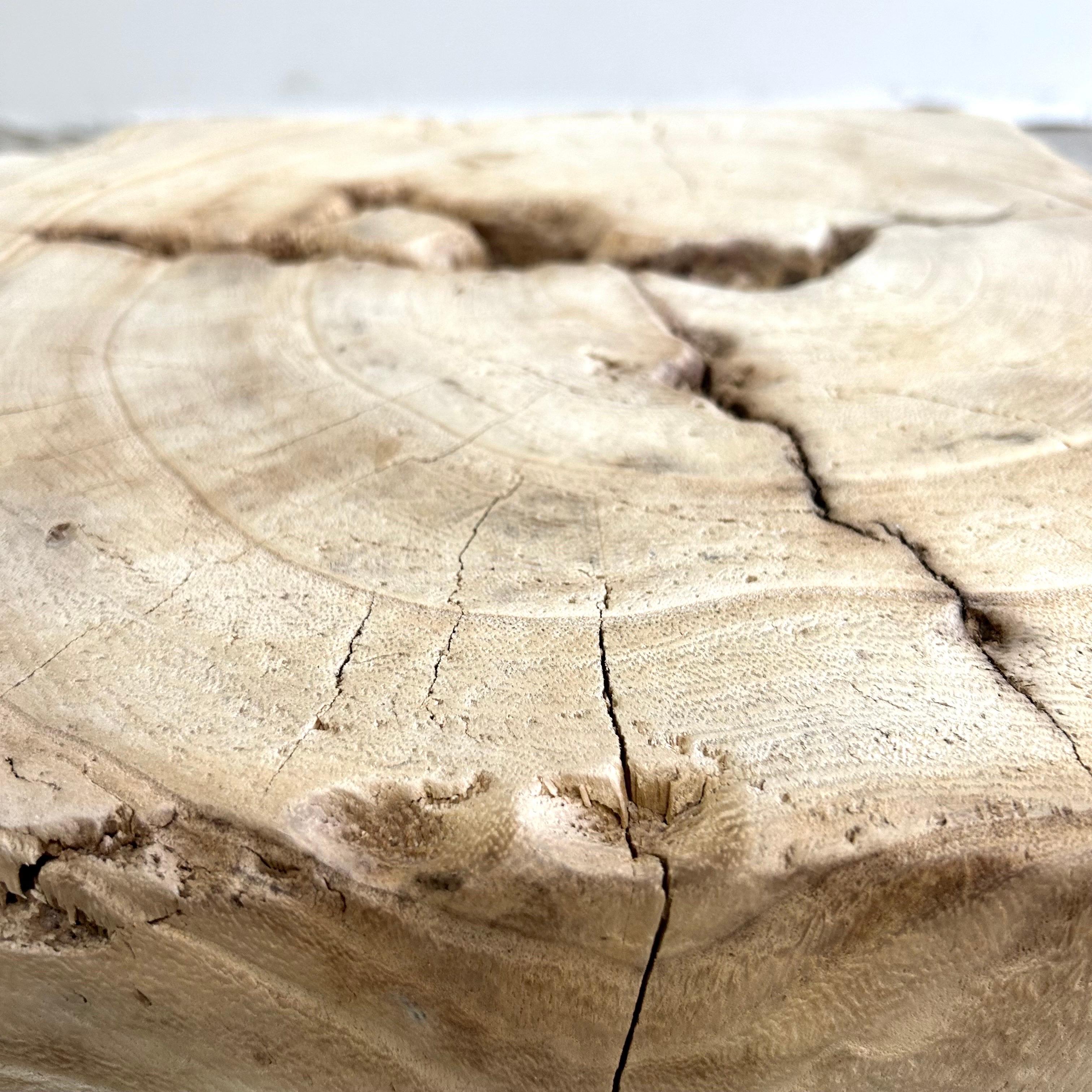 Natural Wood Stump Side Table or Stool For Sale at 1stDibs