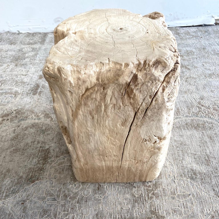 Natural Wood Stump Side Table or Stool For Sale at 1stDibs