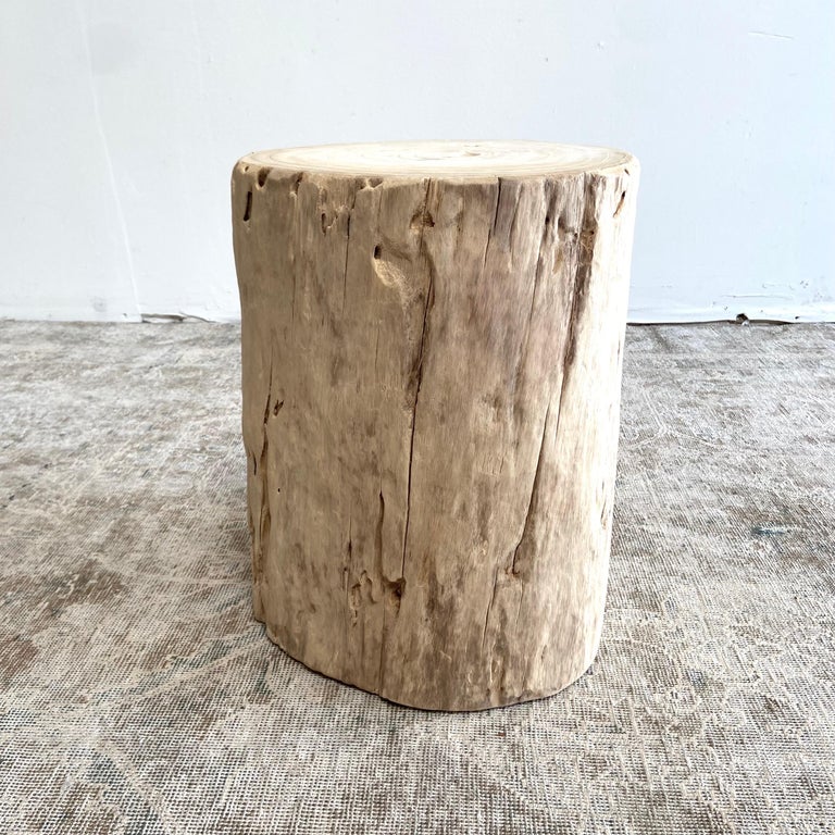 Natural Wood Stump Side Table or Stool For Sale at 1stDibs