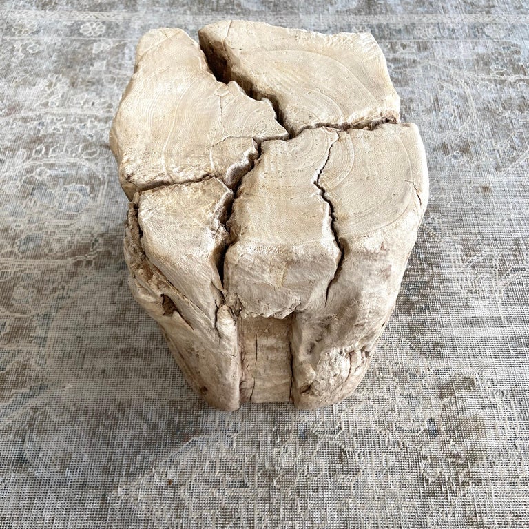 Natural Wood Stump Side Table or Stool For Sale at 1stDibs