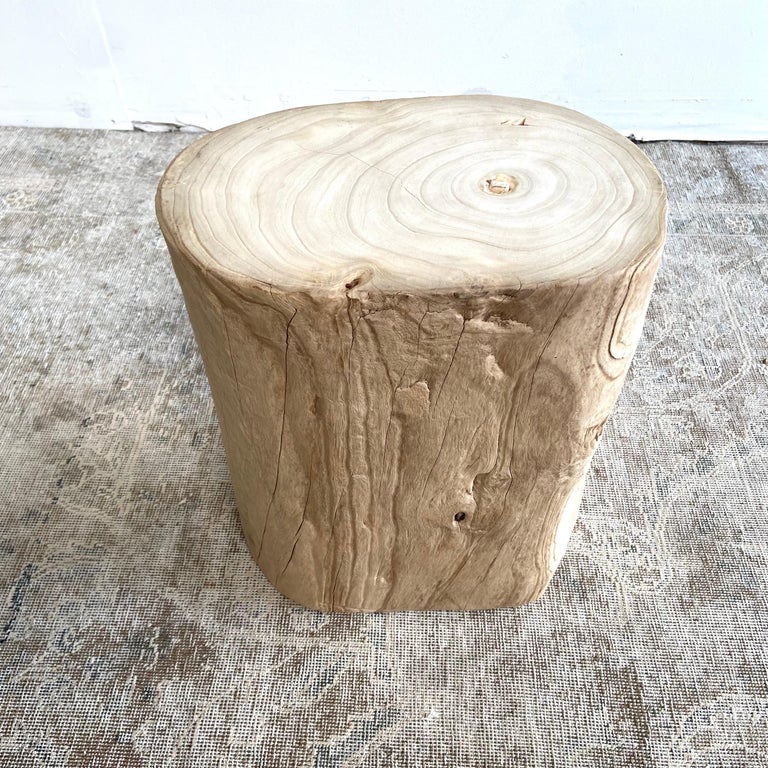 Natural Wood Stump Side Table or Stool For Sale at 1stDibs