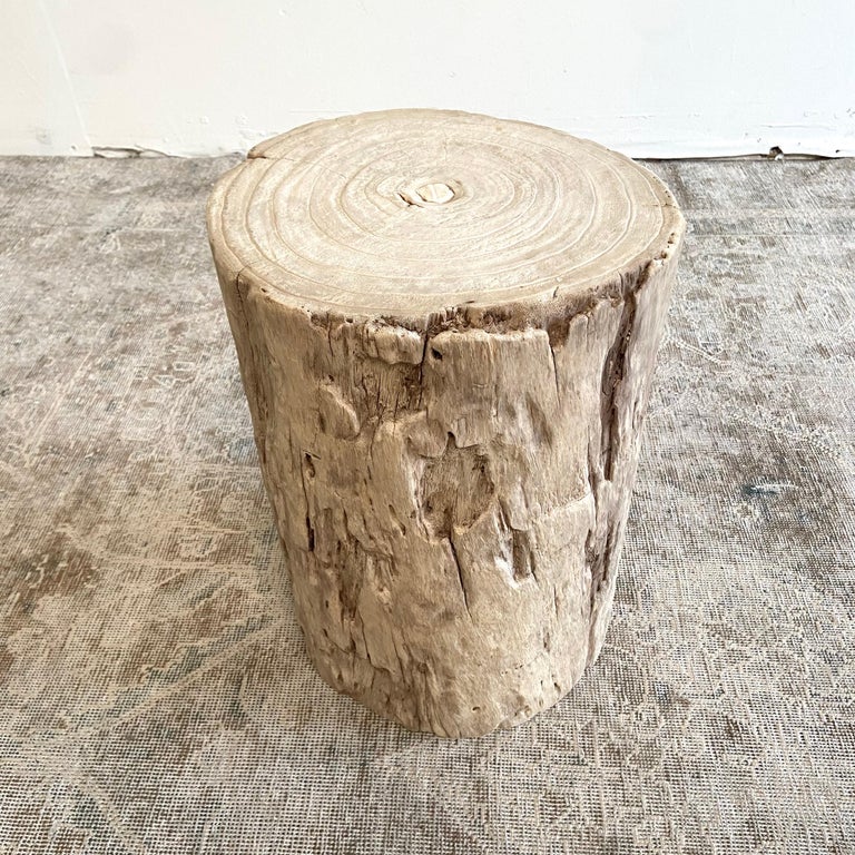 Natural Wood Stump Side Table or Stool For Sale at 1stDibs