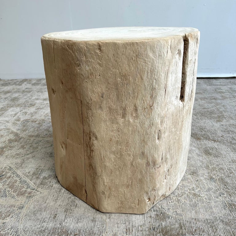 Natural Wood Stump Side Table or Stool For Sale at 1stDibs