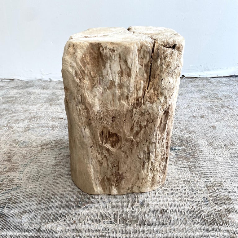 Natural Wood Stump Side Table or Stool For Sale at 1stDibs