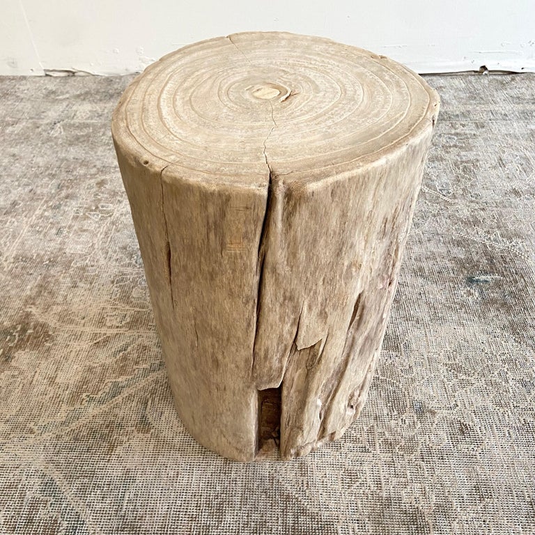 Natural Wood Stump Side Table or Stool For Sale at 1stDibs