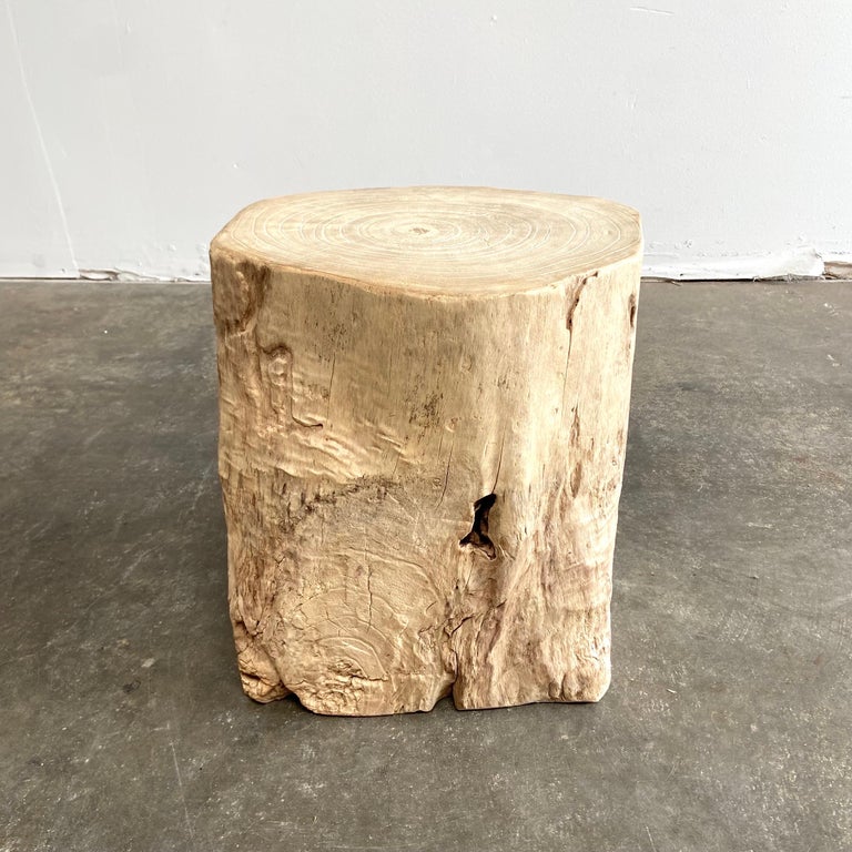 Natural Wood Stump Side Table or Stool For Sale at 1stDibs