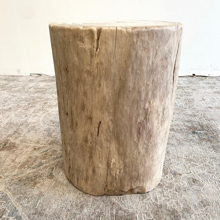 Natural Wood Stump Side Table or Stool For Sale at 1stDibs