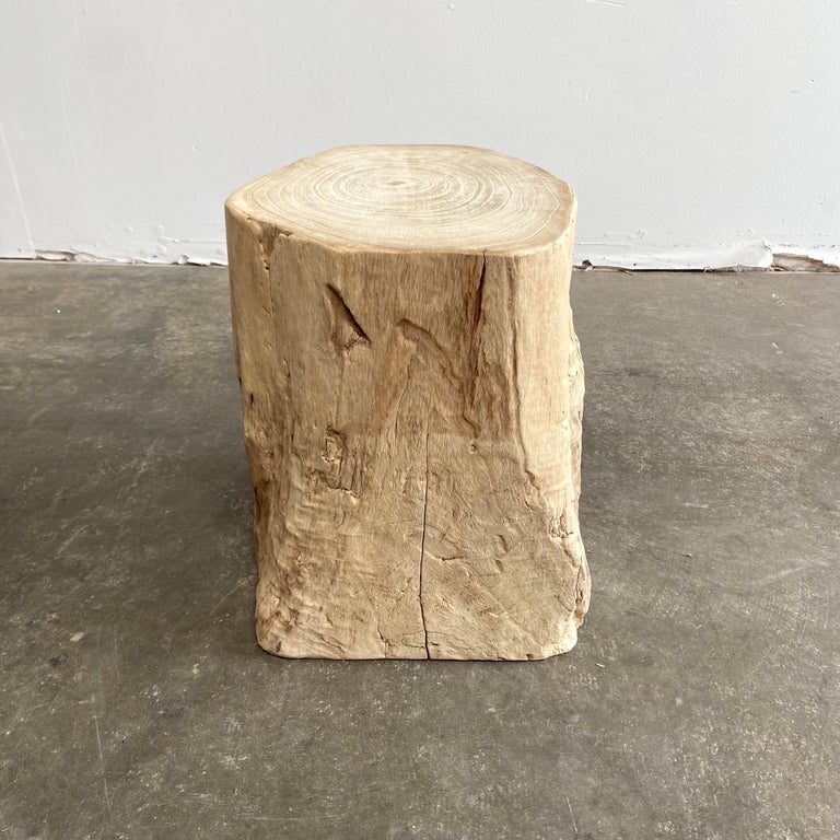 Natural Wood Stump Side Table or Stool For Sale at 1stDibs