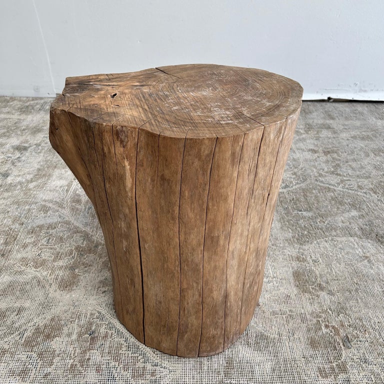 Natural Wood Stump Side Table or Stool For Sale at 1stDibs