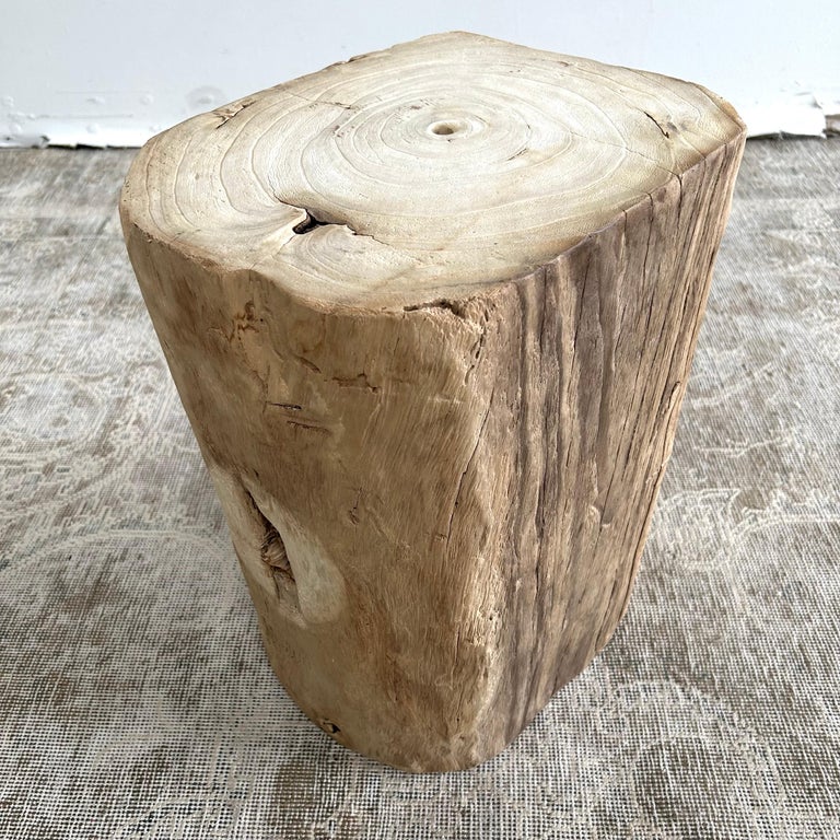 Natural Wood Stump Side Table or Stool For Sale at 1stDibs