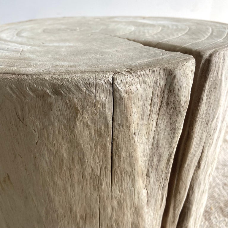 Natural Wood Stump Side Table or Stool For Sale at 1stDibs