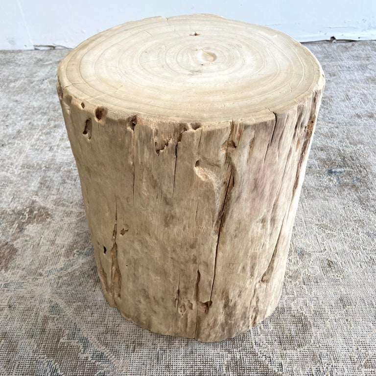 Natural Wood Stump Side Table or Stool For Sale at 1stDibs