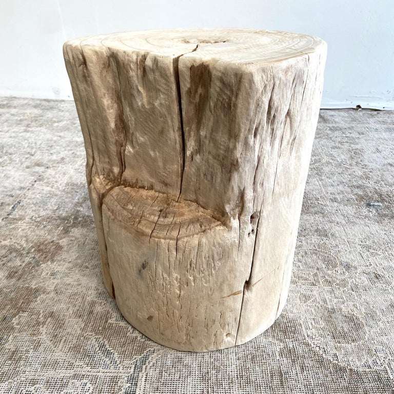 Natural Wood Stump Side Table or Stool For Sale at 1stDibs