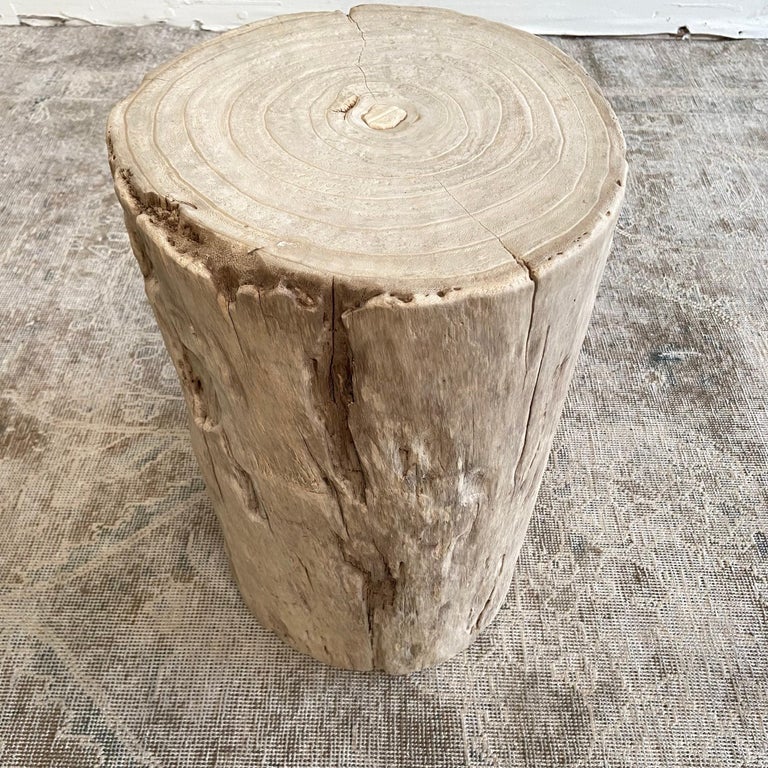 Natural Wood Stump Side Table or Stool For Sale at 1stDibs