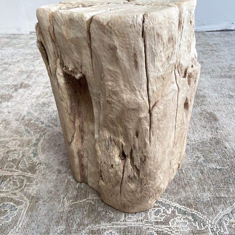 Natural Wood Stump Side Table or Stool For Sale at 1stDibs