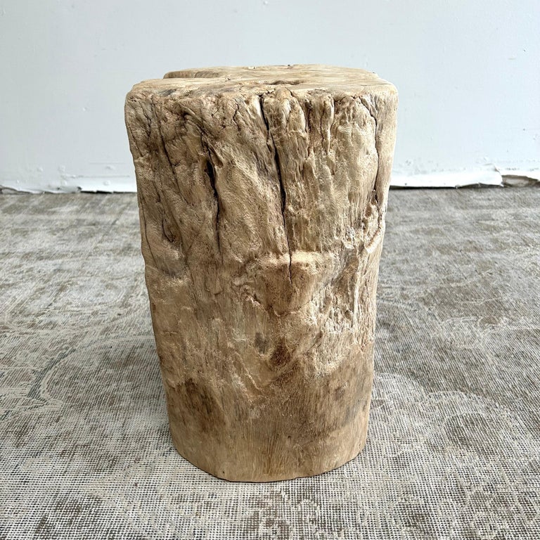 Natural Wood Stump Side Table or Stool For Sale at 1stDibs