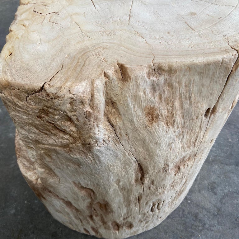 Natural Wood Stump Stool or Rustic Side Table For Sale at 1stDibs