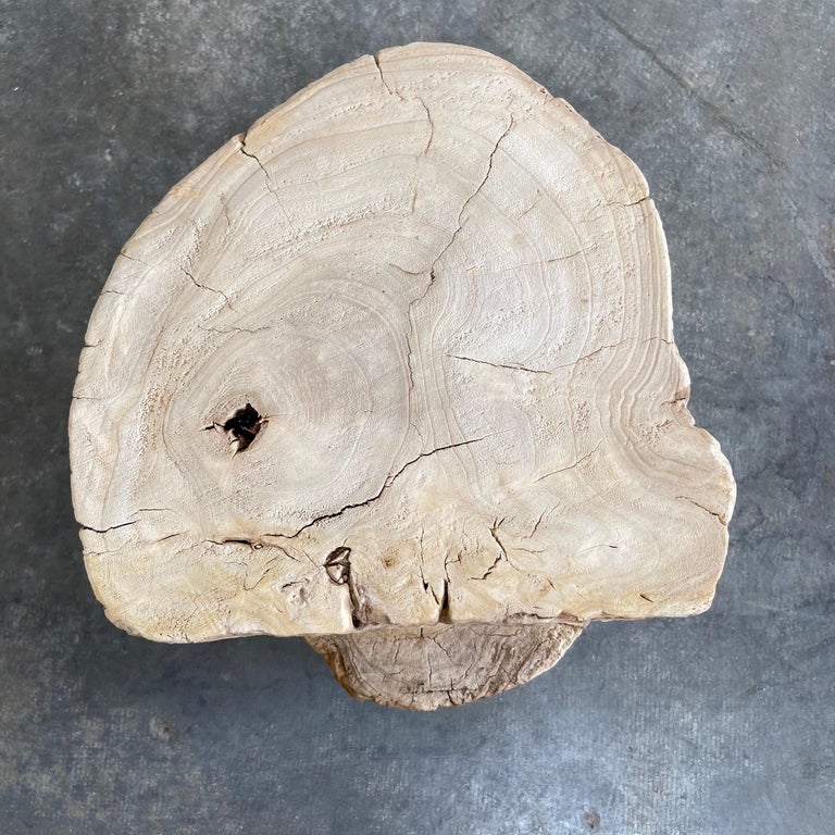 Natural Wood Stump Stool or Rustic Side Table at 1stDibs