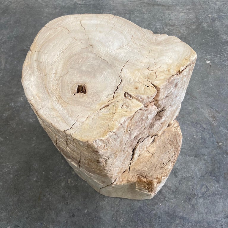 Natural Wood Stump Stool or Rustic Side Table For Sale at 1stDibs