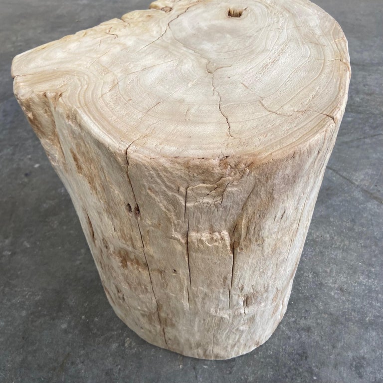 Natural Wood Stump Stool or Rustic Side Table For Sale at 1stDibs