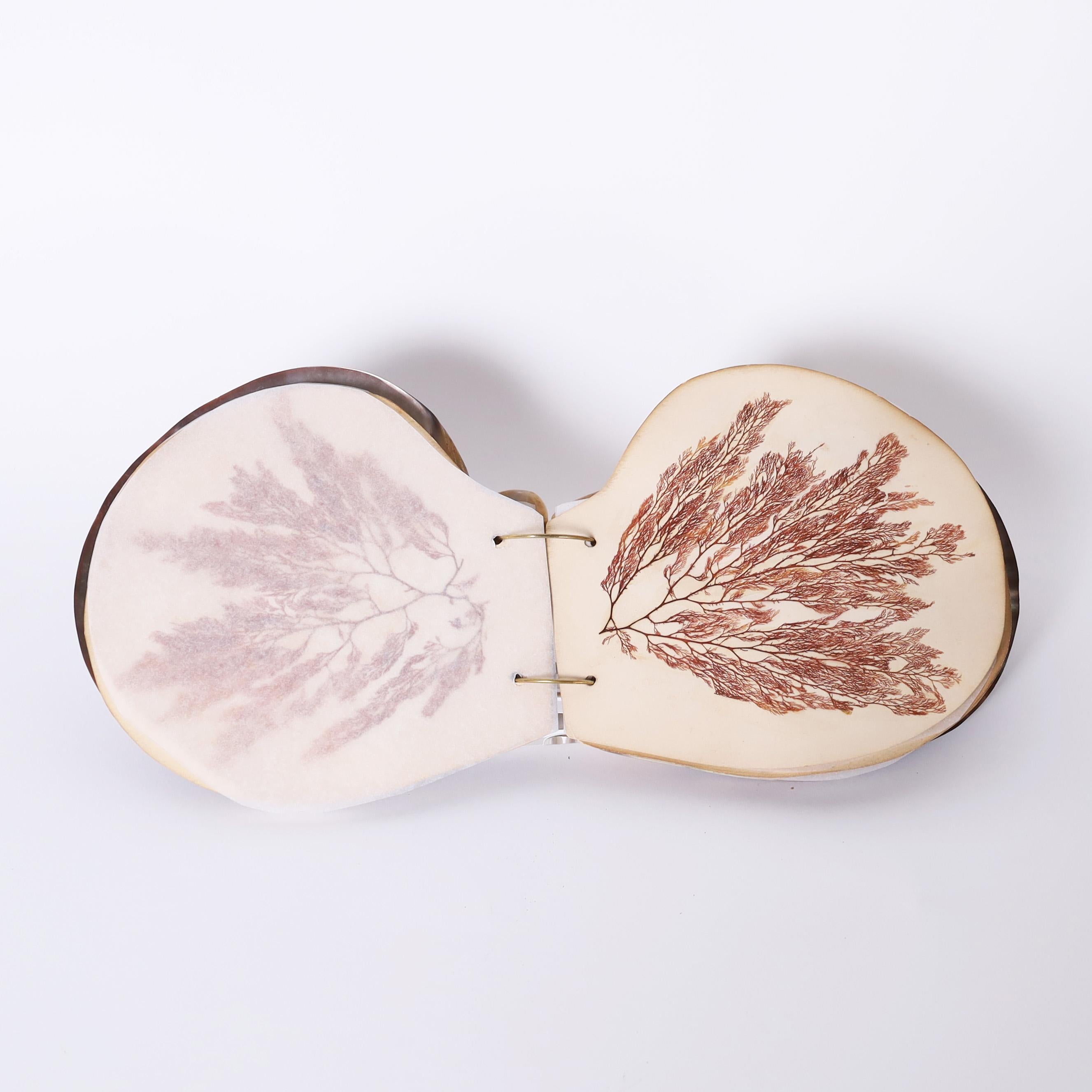 Naturalist Collection of Bound Marine Botanicals For Sale at 1stDibs