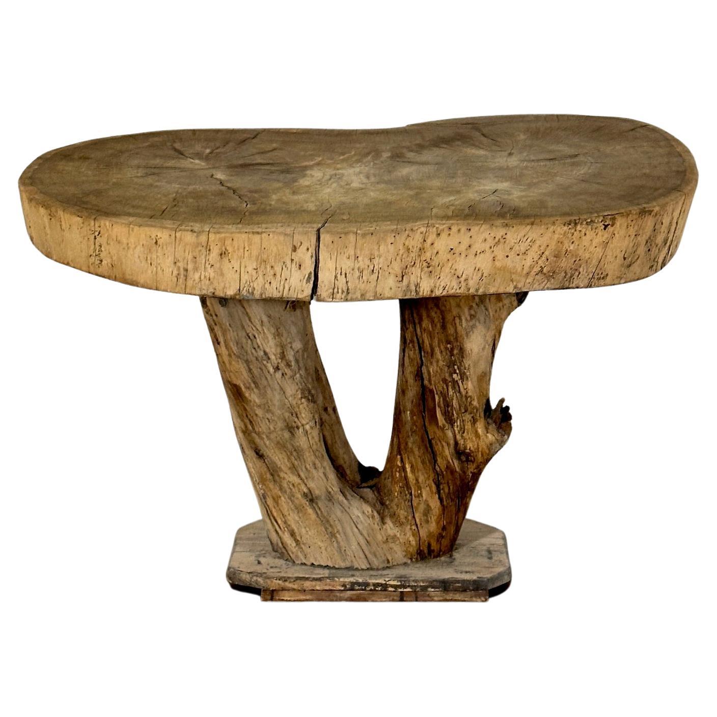 Naturalist Table For Sale at 1stDibs