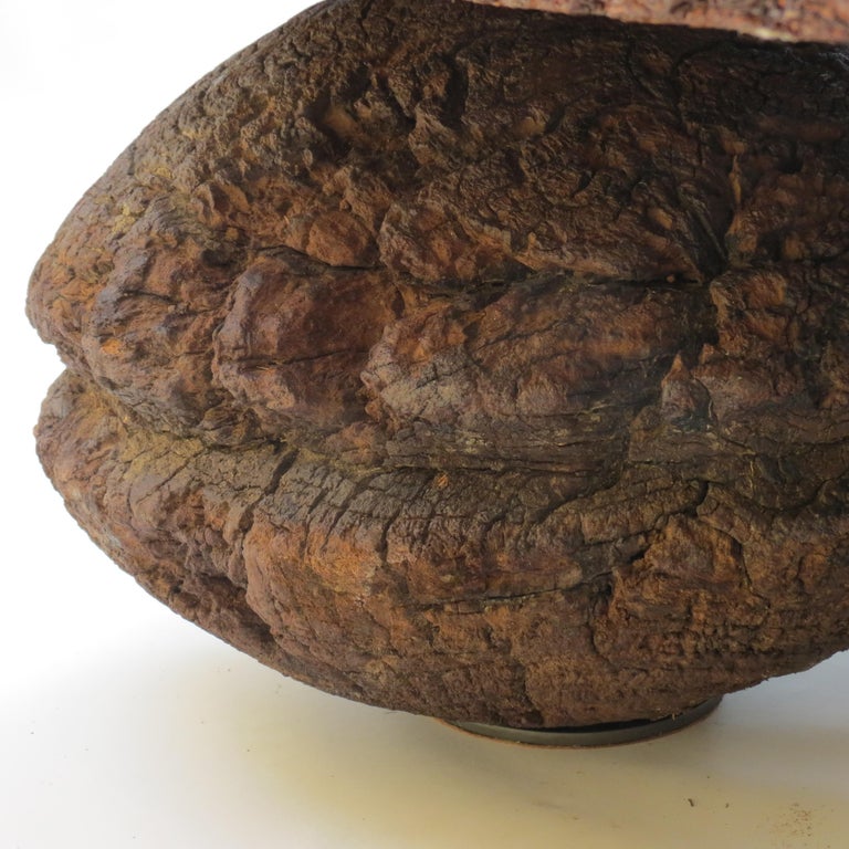 Naturalistic Bespoke Karri Burr Wood and Antique Wooden Base Table at ...