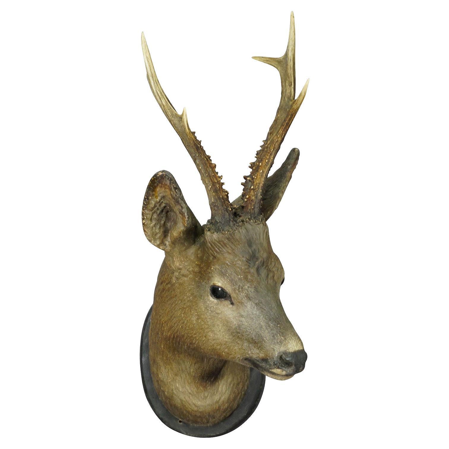 Deer Heads at 1stDibs