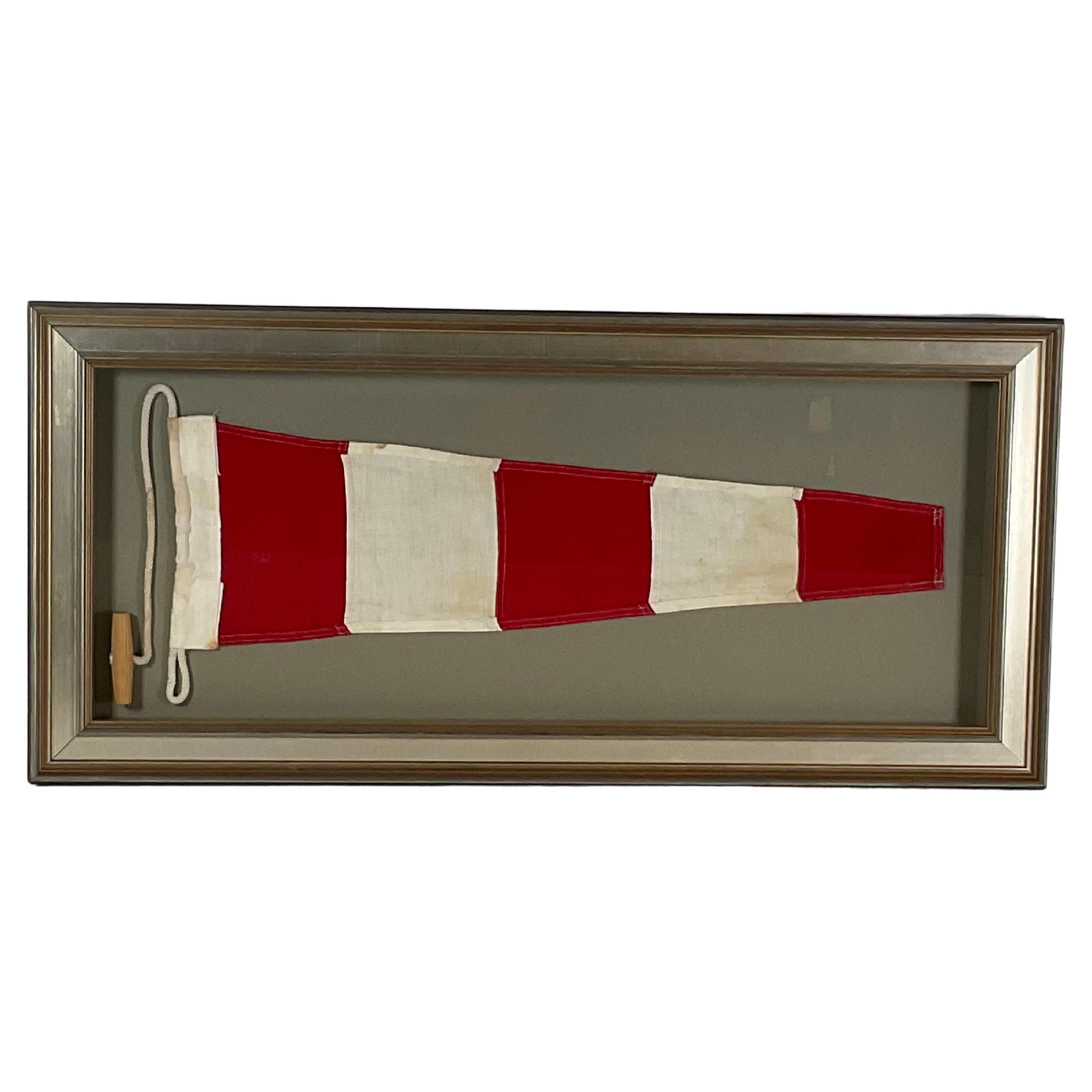 Modern Framed Snakeskin Shadowbox For Sale at 1stDibs | snake skin ...
